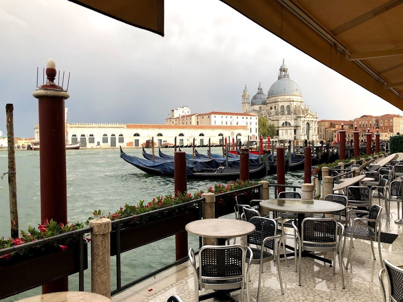 Harry's Bar Review: Chef Tobie Puttock Recommends Harry's Bar